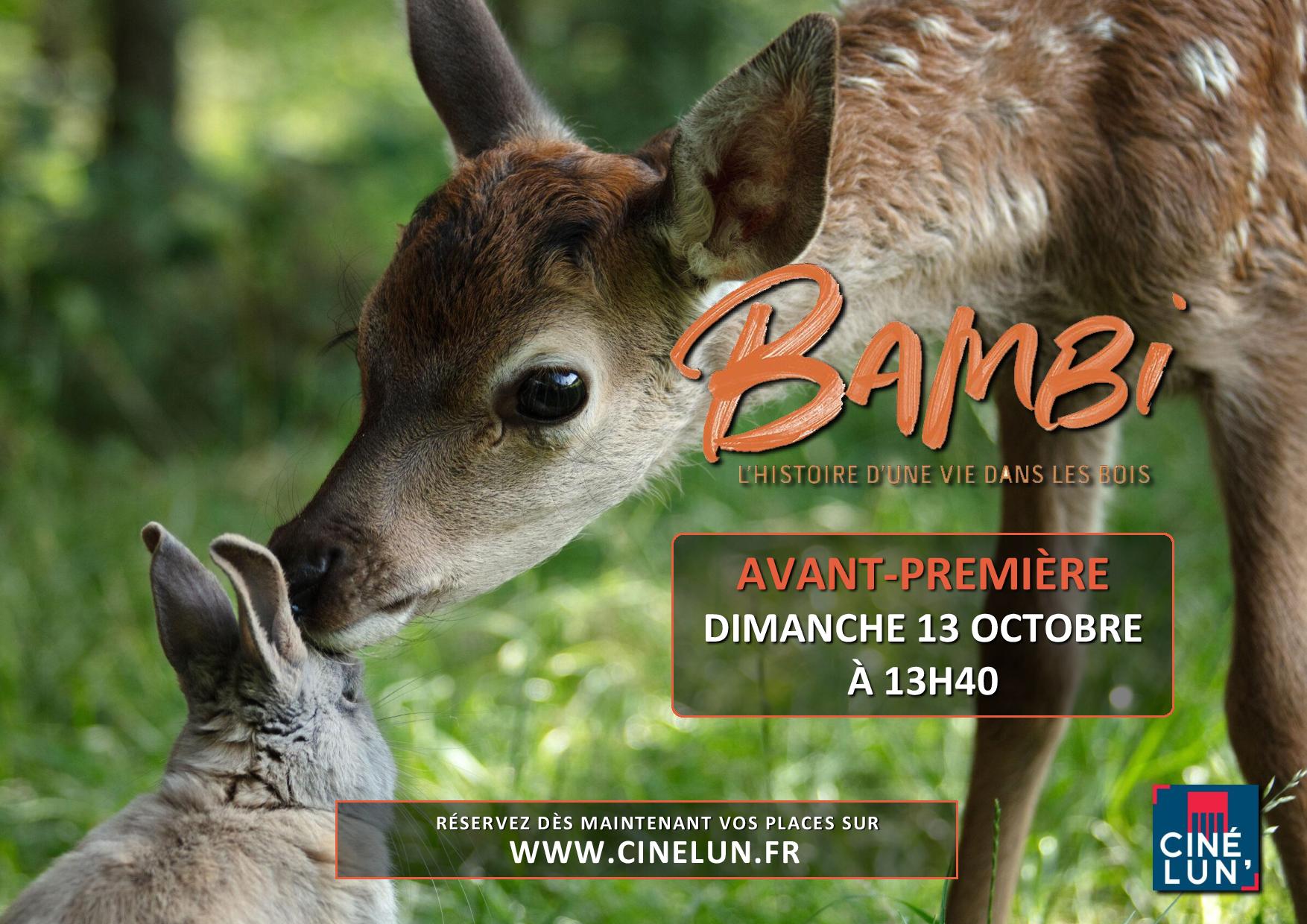BAMBI AP CINELUN-page-001 | Ville de Lunéville